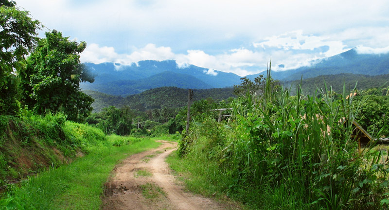 Doi Suthep-Pui National Park - Chiang Mai (North West Thailand)